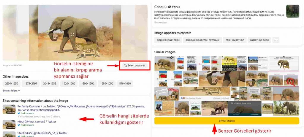 Tersine Görsel Arama Nasıl Yapılır? - Büyüteç